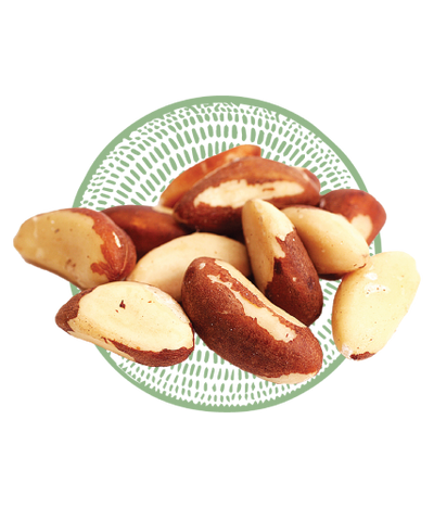 Taperebá: Descubra os Benefícios deste Superfood Amazônico – Mahta