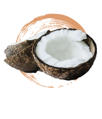 Taperebá: Descubra os Benefícios deste Superfood Amazônico – Mahta