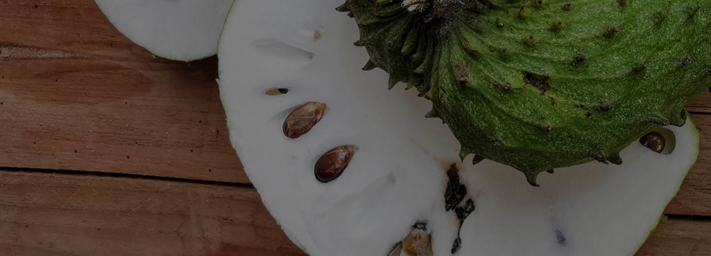 Descubra os Benefícios da Graviola: Uma Superfruta Tropical – Mahta